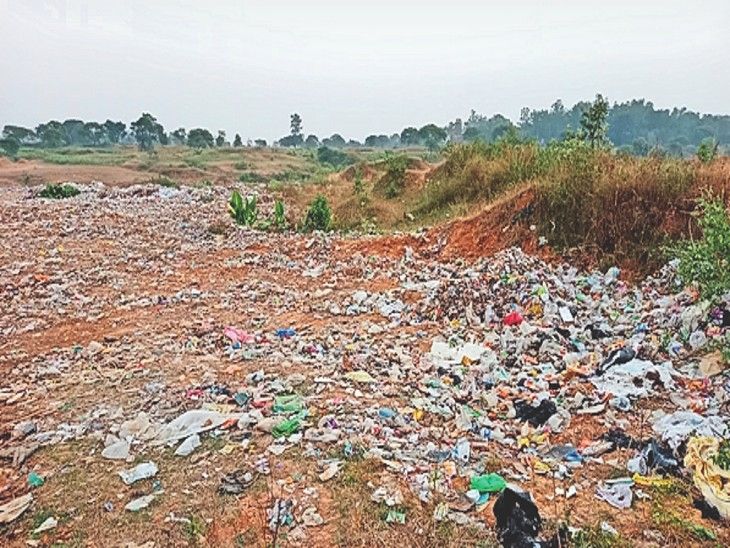 Every day 10 kg of garbage is being dumped from the city, no cleaning ...