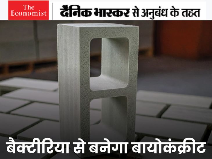 Prometheus Materials uses micro algae-based cement to make masonry ...