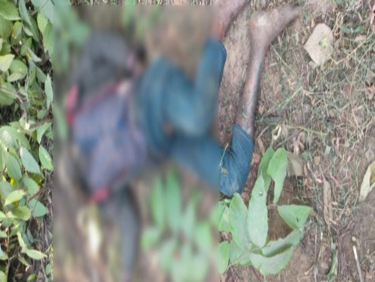 4-day-old dead body of a man found in a nursery in Janjgir, had left ...