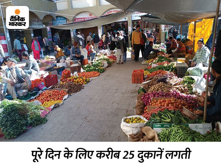 organic vegetables mandi in Shimla Panchayat Bhawan on every sunday ...