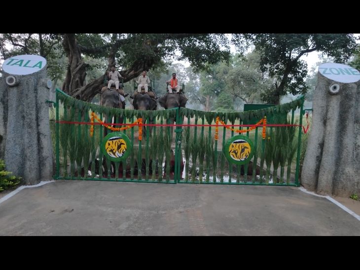 Due to the movement of wild elephants, the forest department appealed ...