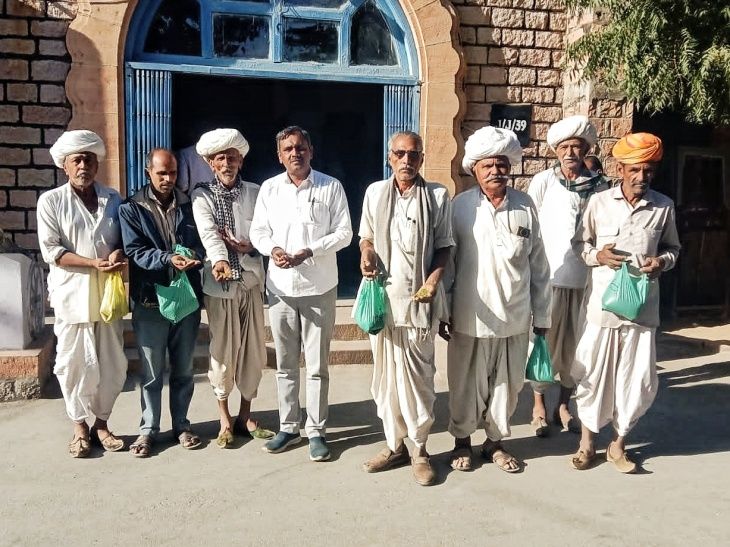 KVSS accused of rejecting, accepted after assurance | रिजेक्ट किए मूंग ...