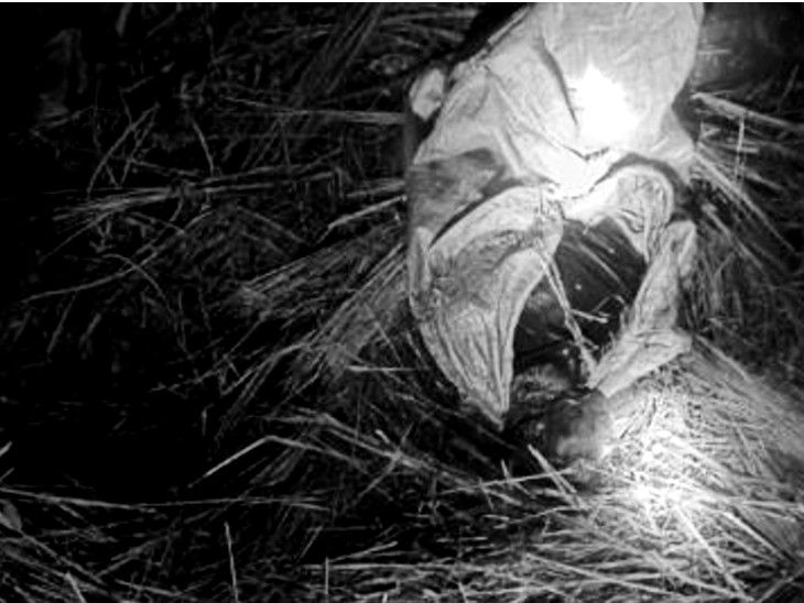 Bloody dead body found on the roadside, injury marks at four places ...