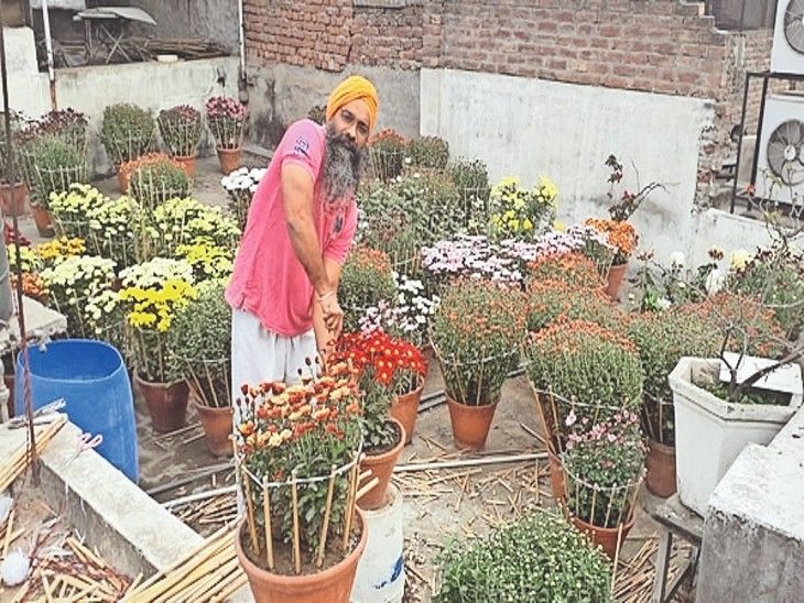 Charandeep takes care till it becomes a tree, till now he himself has ...