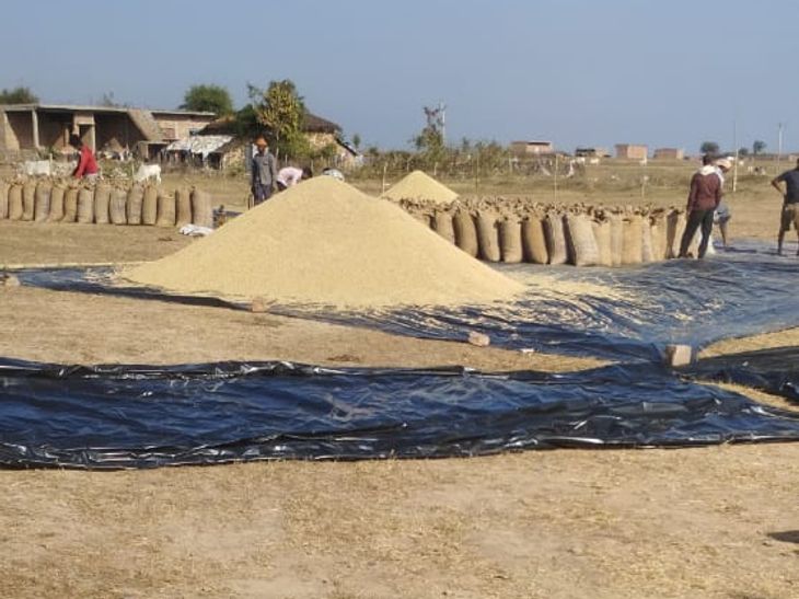 56 thousand metric tonnes of paddy has been purchased so far, the ...