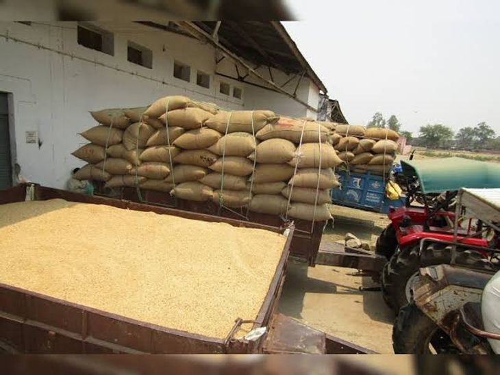 Paddy procurement target not met in Sirmaur; Today is the last day ...