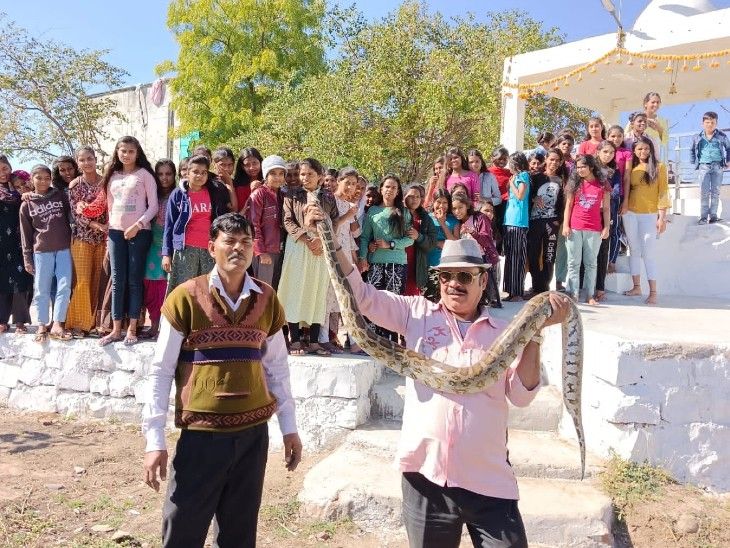 Seeing a 12 feet long python, there was a stir among the children, it ...