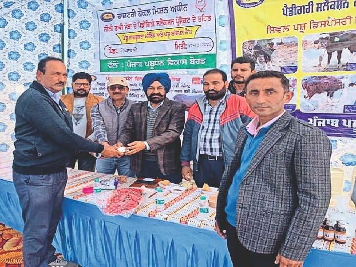 Nili Ravi breed improvement camp organized under National Gokal Mission ...