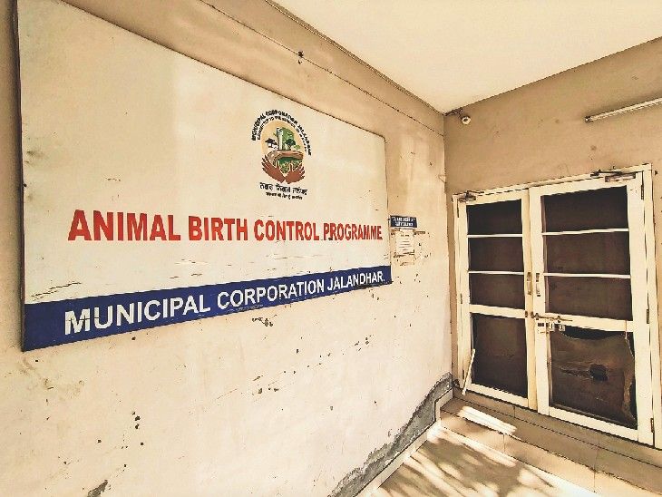 Falling graph of sterilization of stray dogs due to pending payment of ...