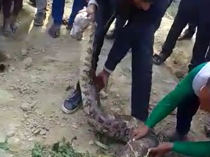 Forest workers caught and left in the forest, panic was seen among the ...