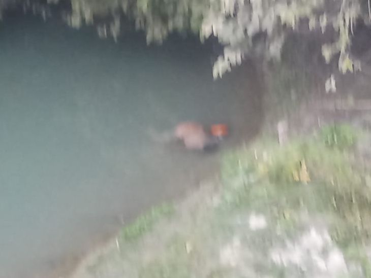Police engaged in identifying the dead body, police took the dead body ...