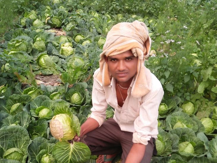 Vegetables rotting due to fog, farmer's problems increased due to lack ...