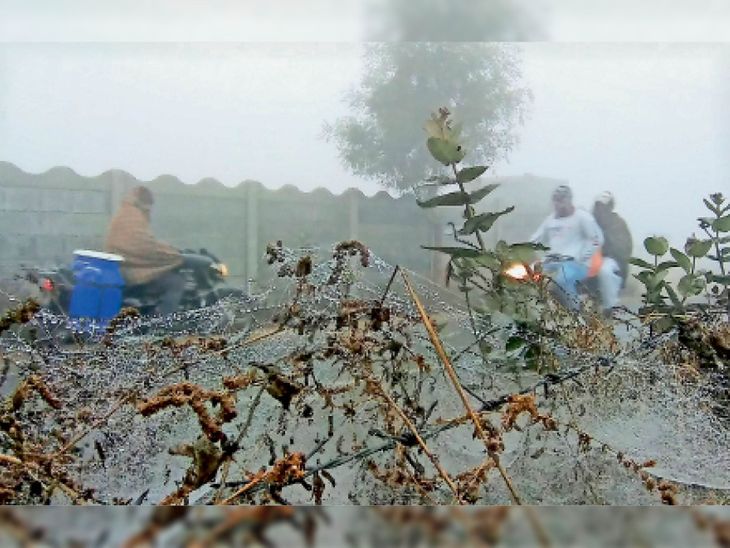 10 km Cold wave at an hourly speed, drop in maximum temperature ...