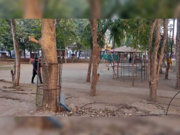 Amidst the investigation, the tender period for the parks of Sector-1 ...
