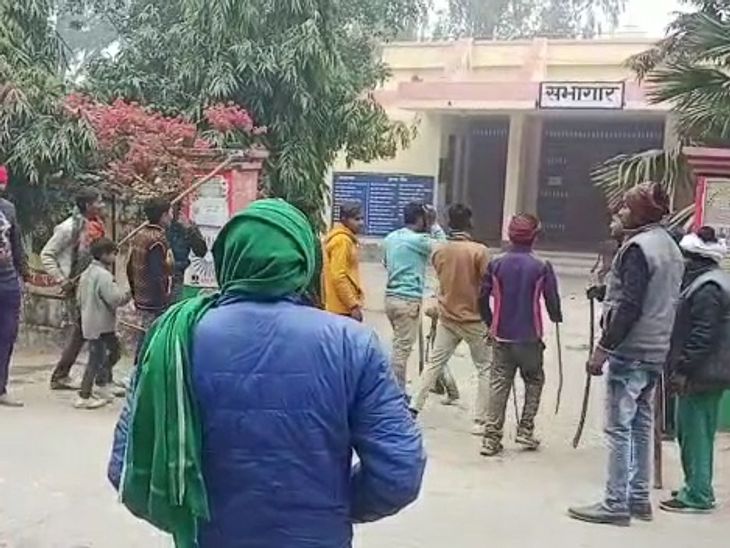 Anna animals roaming in dozens of villages, animals licking standing ...