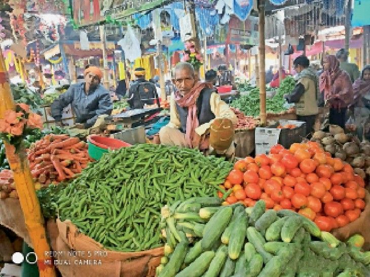 Chhimi came at 60 to 35 rupees per kg, tomato at 15, capsicum coming ...