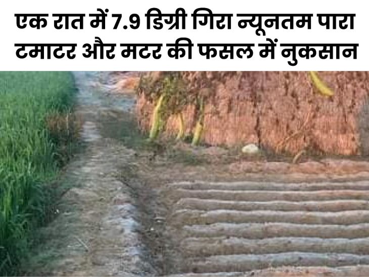 Severe cold in Kaithal, cold wave, minimum temperature 1. 7 degree ...