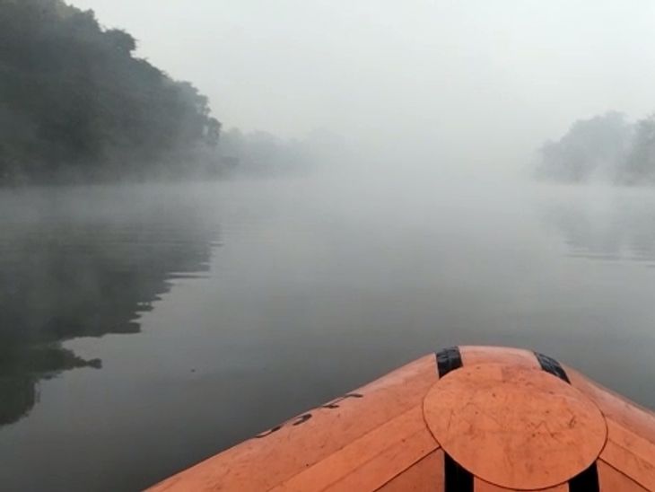 Shadow fog, cold winds increased shivering | विदिशा में फिर बदला मौसम ...