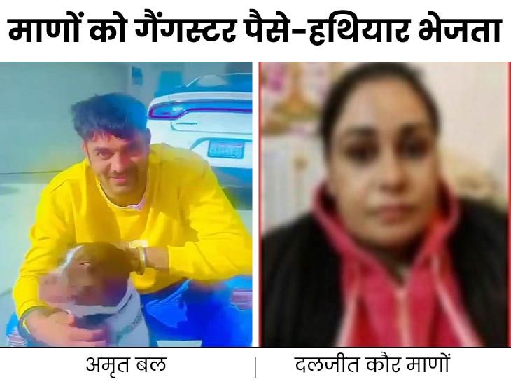 Of the 13 operatives of gangster Amrit Bal caught in Ludhiana's Khanna ...