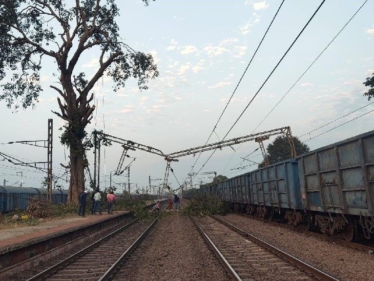 Tree fell on OHE pole, traffic affected for 4 hours, 8 trains stood in ...