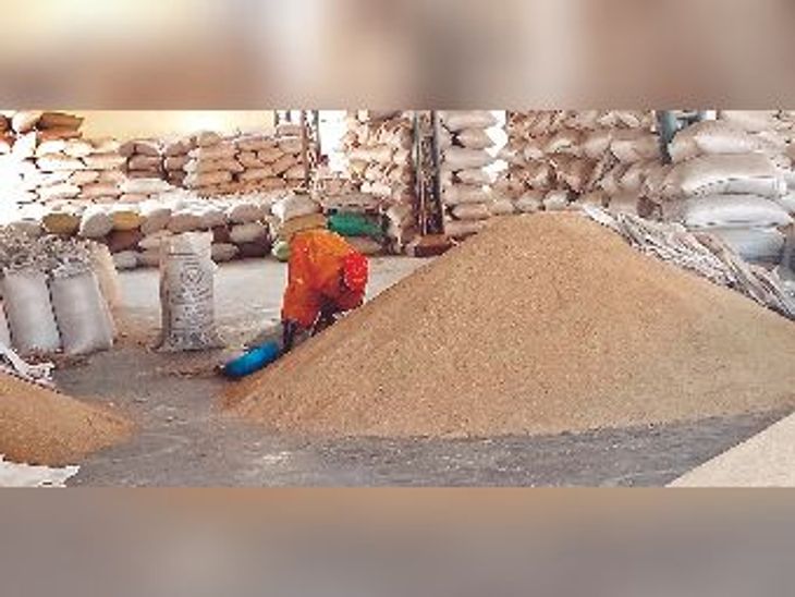 The price of thin paddy is ~100 more than that of thick and sarna ...