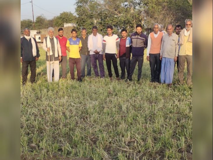 The farm was taken on 12 thousand shares, could not save the crop even ...