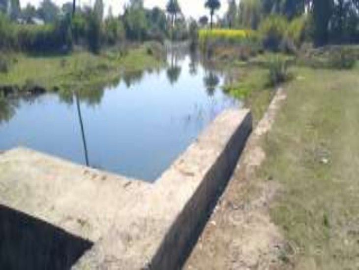 Water level rising in stop dams, cattle are getting drinking water ...