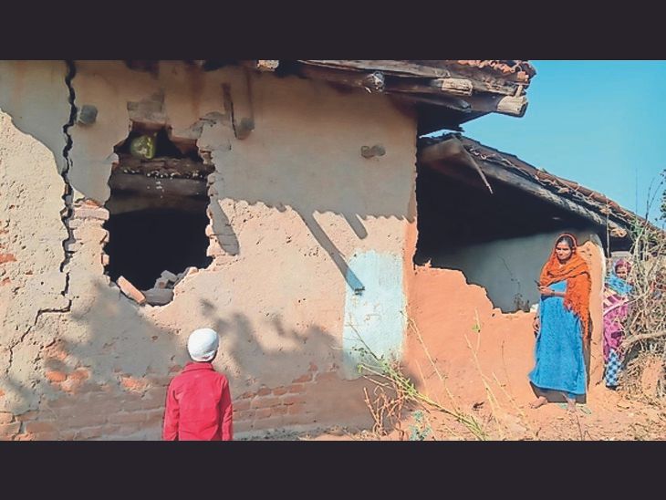 Elephant terror continues, dozens of houses destroyed, crops destroyed ...