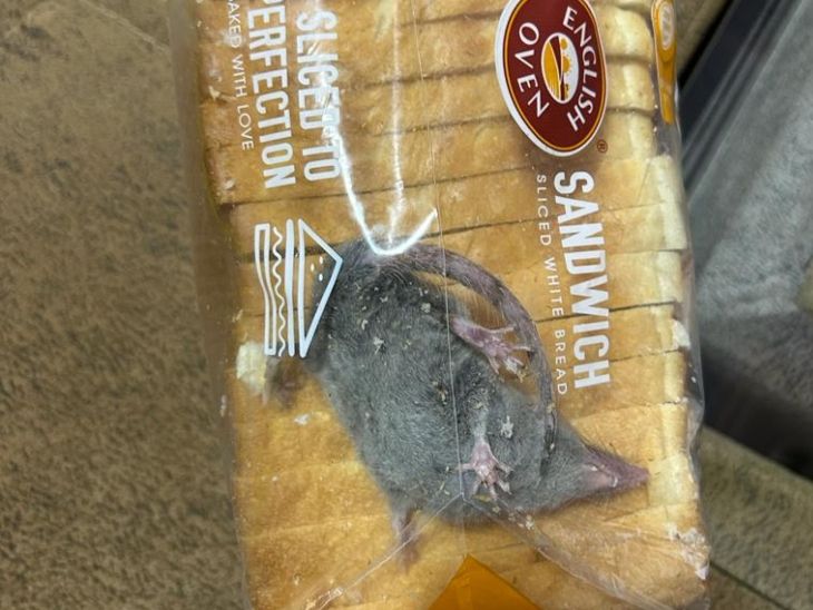 Customer Finds Rat in Packet of Bread; Video Goes Viral | कस्टमर को ...