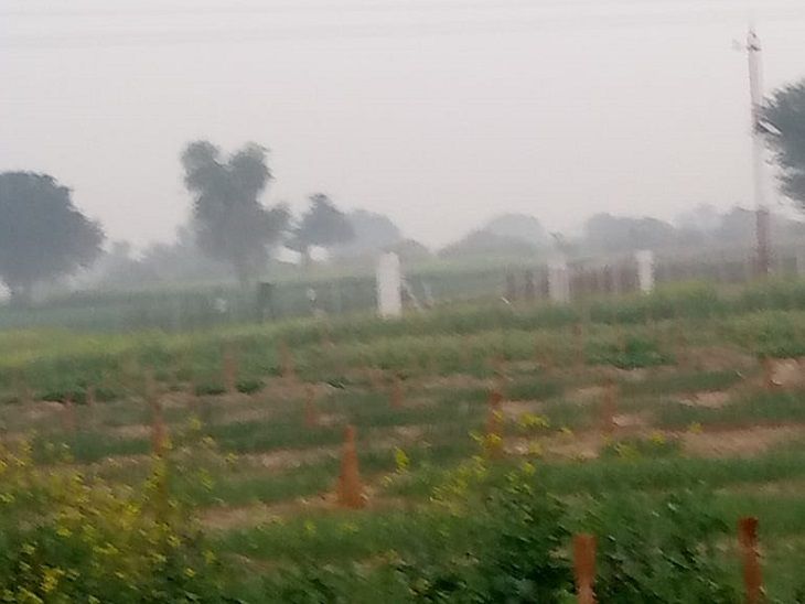 After a slight fall, the minimum temperature in Fatehpur is 9.5 degrees ...