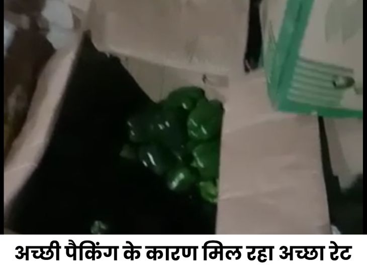 Gujrat Vegetables Popular in Solan Vegetable Market, Himachal Farmers ...