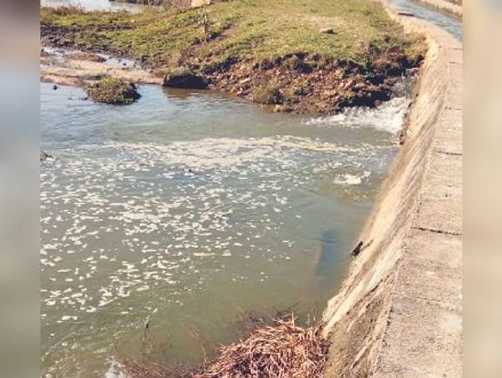 Water flowing in vain due to canal breaking and underground leakage of ...