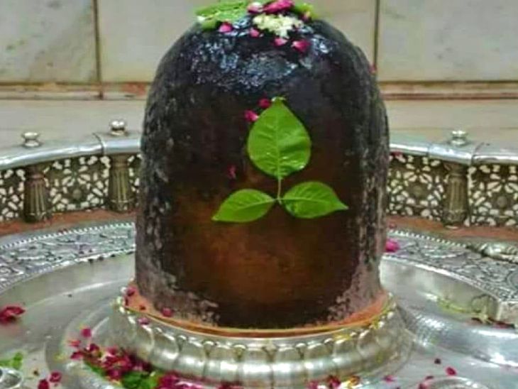 Shivratri is the festival of worship from Bilvapatra: First Goddess ...