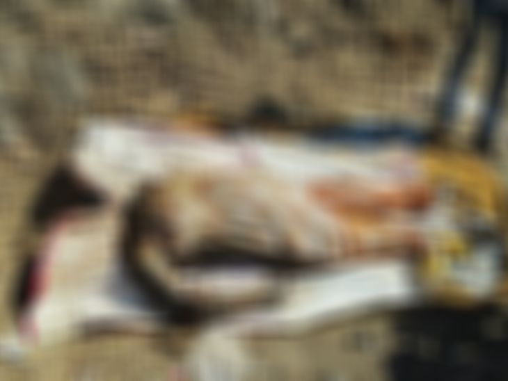 Torso wrapped in blanket found in ditch, search for head of four-day ...