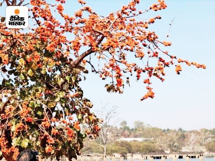 Madhya Pradesh Weather Update; Bhopal Indore Heat Waves | Gwalior ...