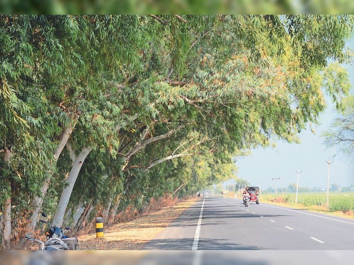 4 danger points in the 98 km journey of the mega highway where 56 ...