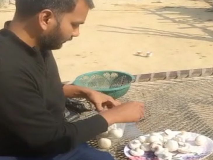 Software engineer became mushroom grower in Banka, Started business 3 ...