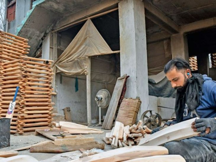 Stock decreasing rapidly, instead of 10 trees have to be cut in 5 years