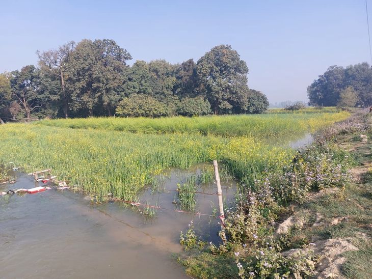 Minor cut of Sharda canal: see the situation in pictures; Crops of more ...