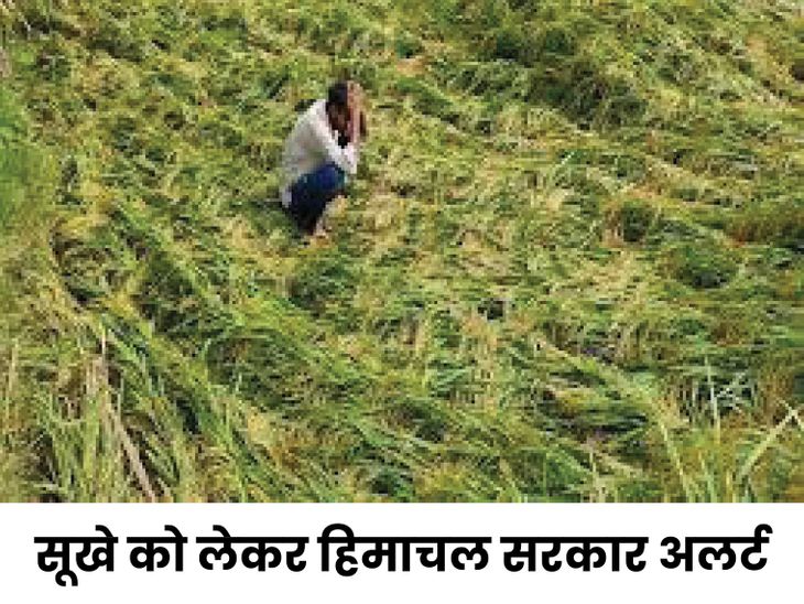 Himachal government alert drought | Chief Secretary Called meeting to ...