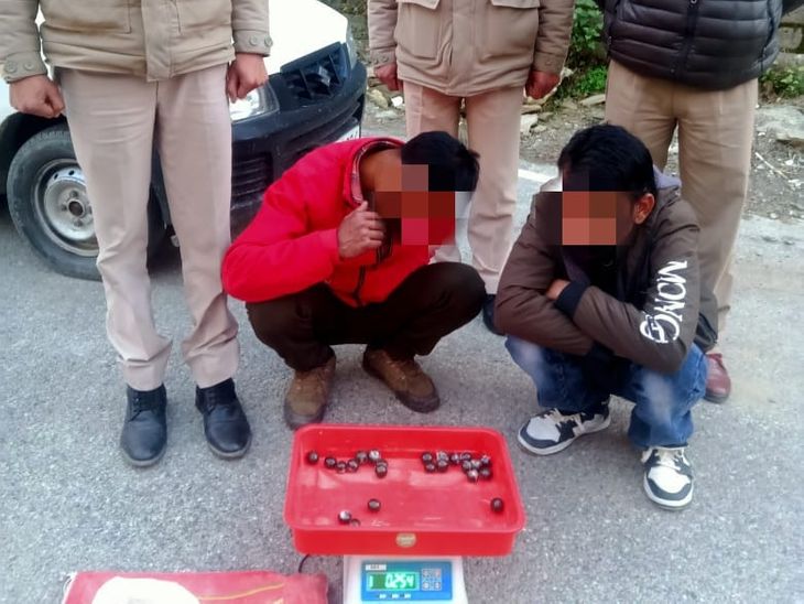 Kullu Police Arrested Four Drug Smugglers With Charas From Banjar Sainj and Bhuntar | कुल्लू में ...