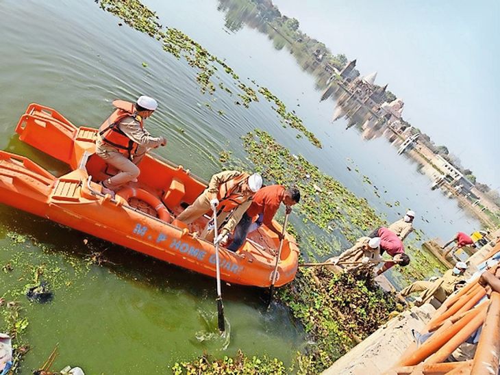Nirankaris cleaned Karan Sagar, took out water hyacinth by boat ...