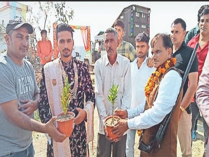 In the village Sinand, the bride's side gifted plants to the baratis ...