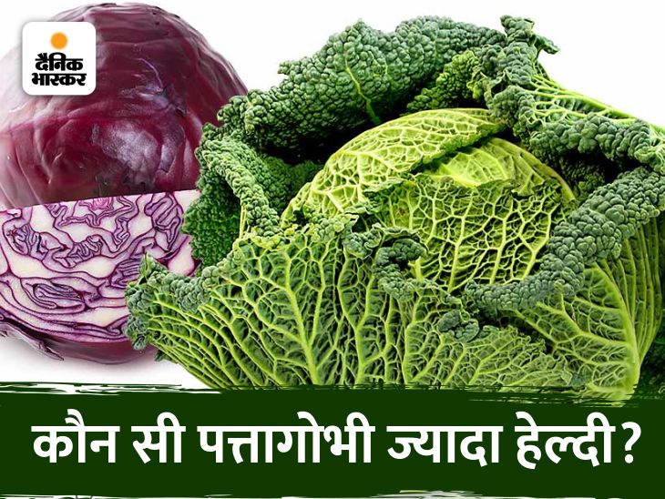 Salad, vegetable or juice, which has more nutrients, how do you eat raw ...