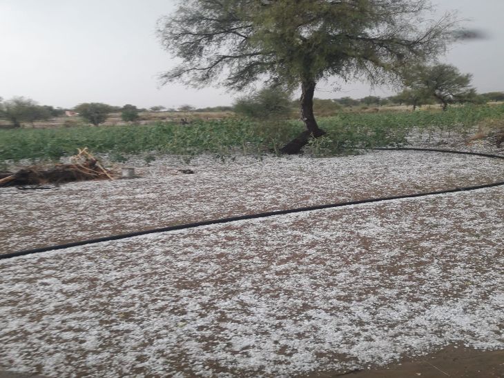 rajasthan barmer Unseasonal rain and hailstorm again in the desert ...