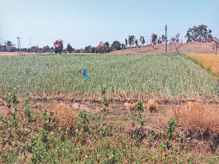 Dominant occupation of 80 bigha land of 35 tenant farmers | किसान ...