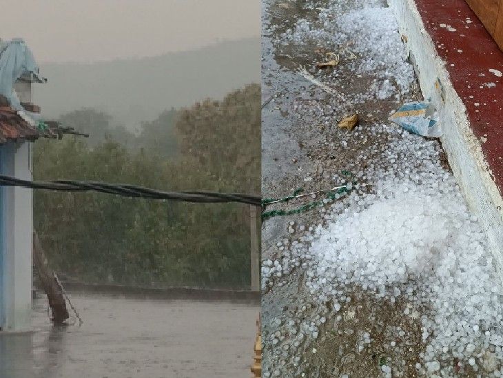 Damage to the standing crops in the fields due to hailstorm, formed a ...