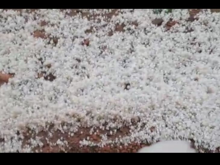 Hail fell for 15 minutes with strong storm, heavy damage to crops