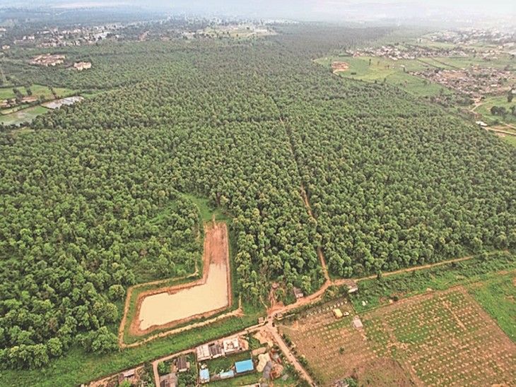 City Forest, spread over 100 hectares, is the largest oxygen zone in ...