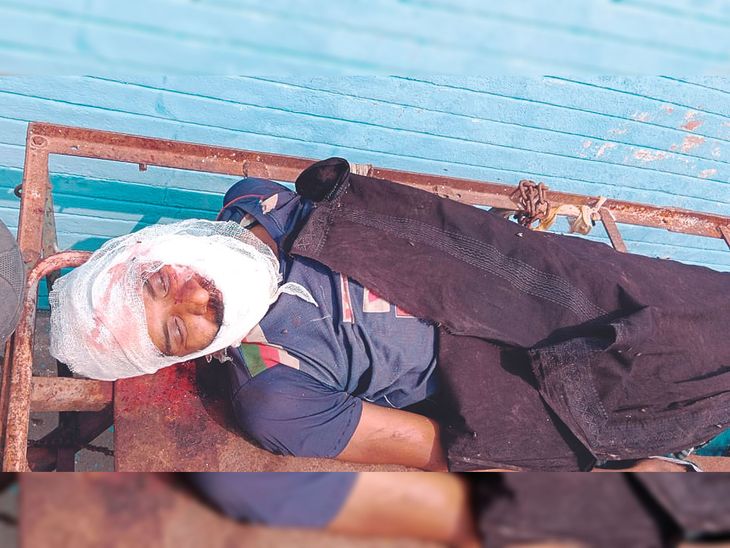 Postmortem house built seven years ago, two deep freezers, yet dogs ...